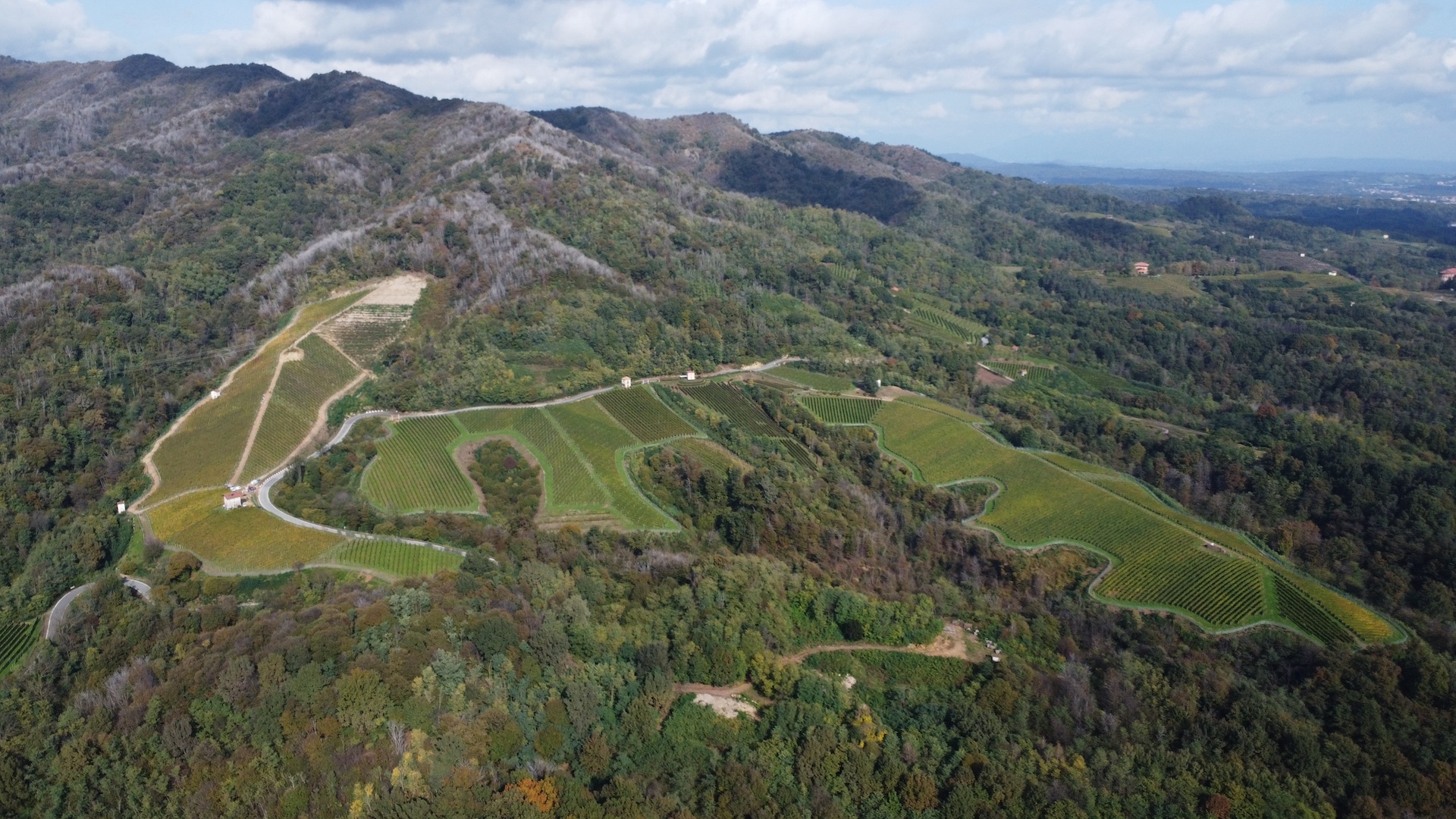 Colline novaresi dal 1991 Vini delle SCOPRI DI PIù Colline novaresi dal ...